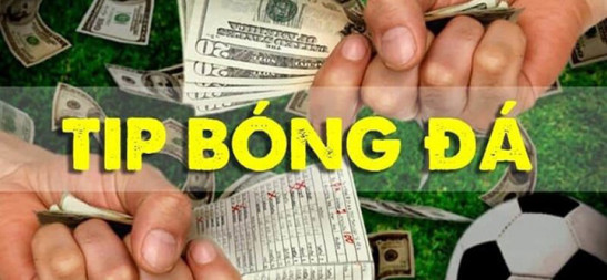 Dự đoán Bóng đá Hôm nay: Soi kèo mới nhất từ Cộng đồng | Topdudoan